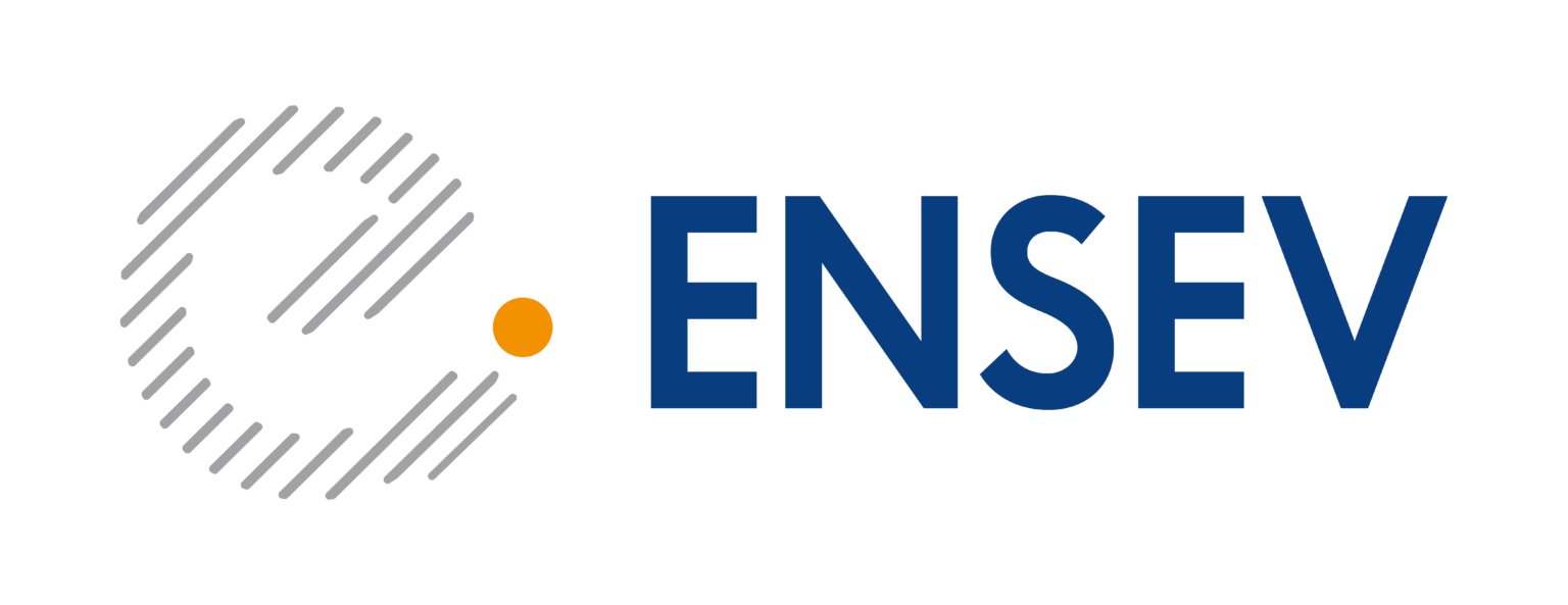 ENSEV Un(e) Stagiaire En Communication & Marketing Digital | Louma Jobs ...